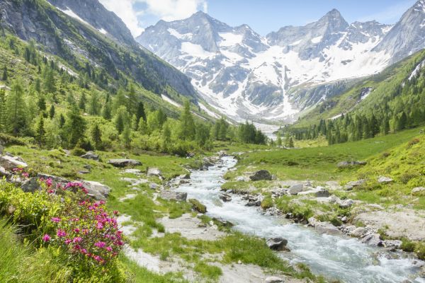 Lais Puzzle - Panorama einer Landschaft mit Wildbach und Gletscher im ...