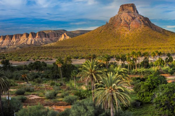 Lais Puzzle - El pilon. La Purísima Baja California Sur, Mexiko 2.000 Teile